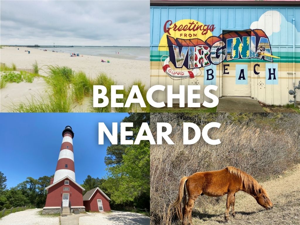 Beaches Near Washington DC in Virginia and Maryland