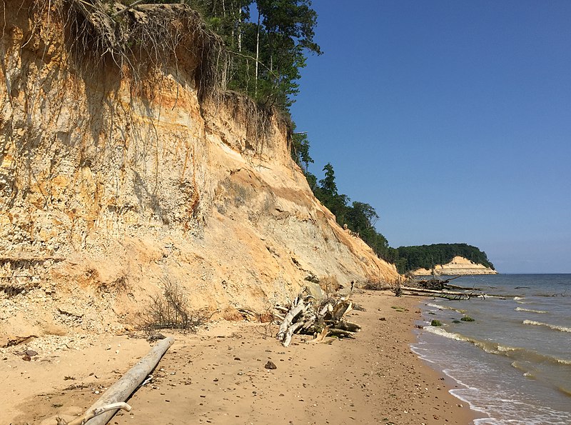 Calvert Cliffs MD