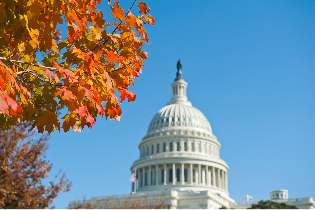 Fall in Washington DC - 10 Best Things to Do in 2025!