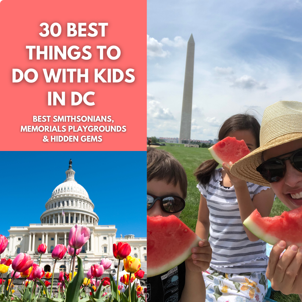 30 Best Washington D.C. Kids Things to Do