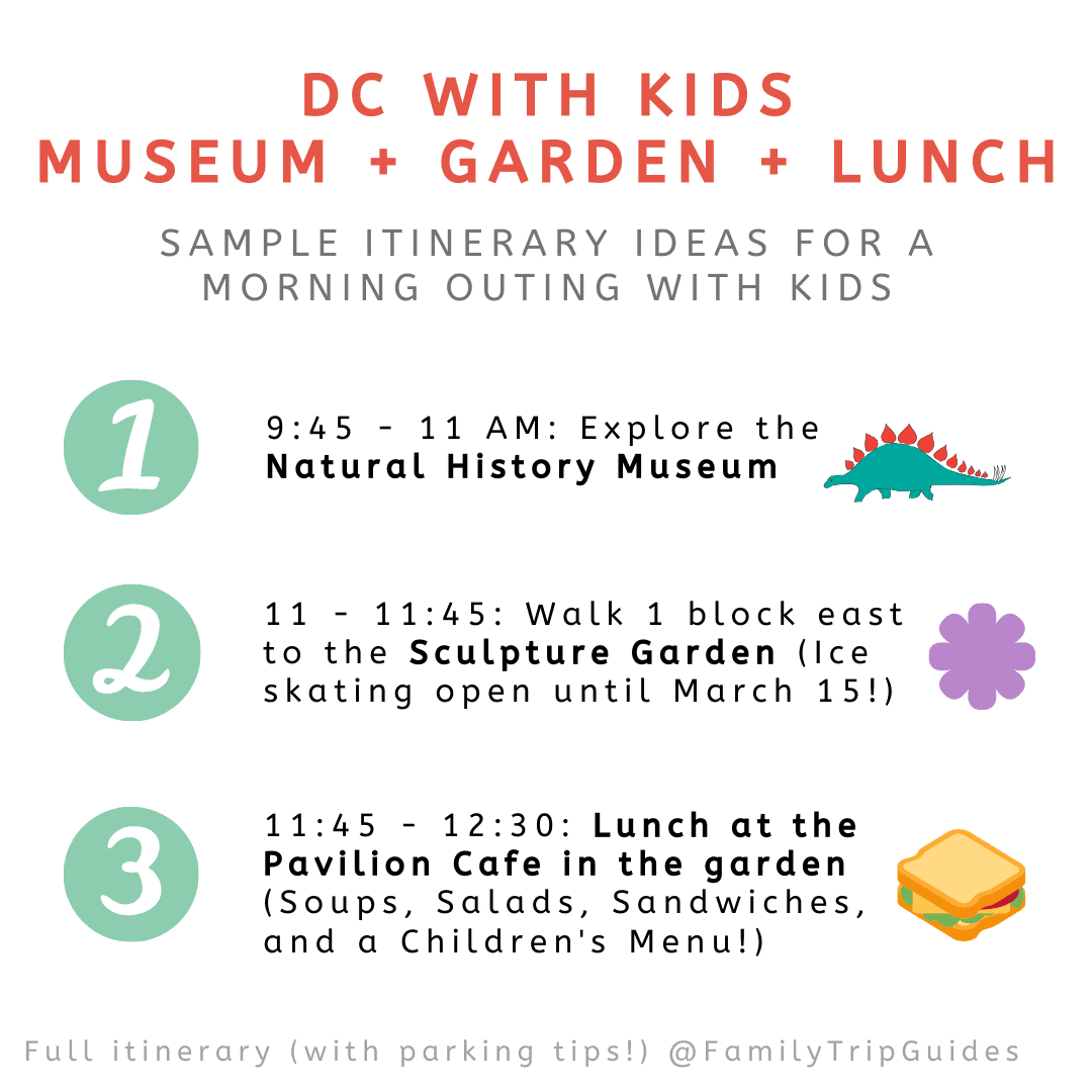 Morning at at a DC Smithsonian Museum - Sample Itinerary